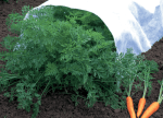 Best Crop Covers (Floating Row Covers): 1-800-811-7444 | American ...