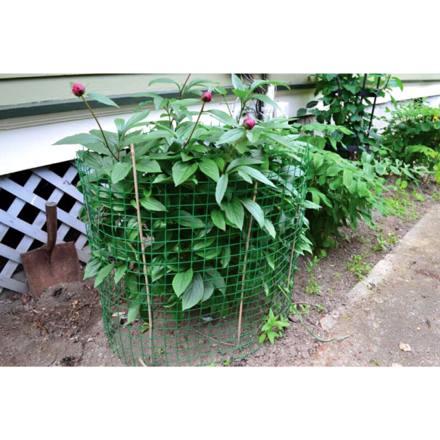 Garden Fence | Plant support, pest control, garden organization