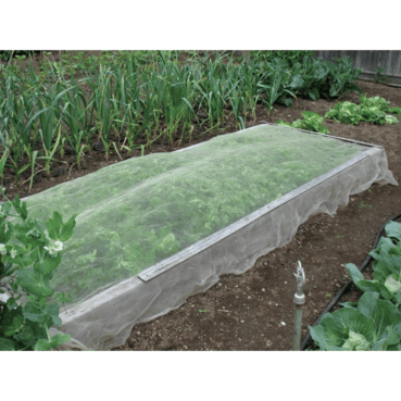 Shop - American Nettings