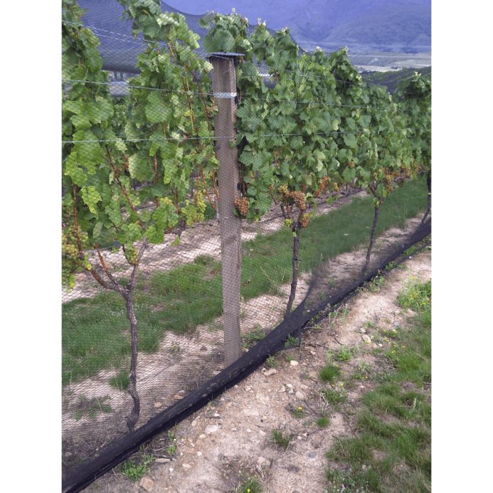 Vineyard - Multi-Row & Drape Netting - American Nettings