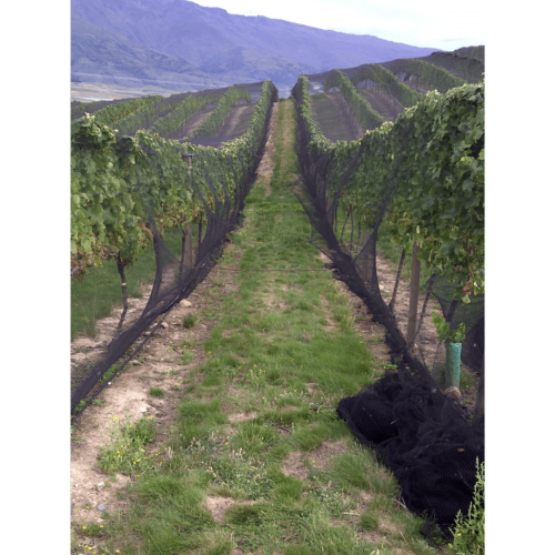 Vineyard - Multi-Row & Drape Netting - American Nettings