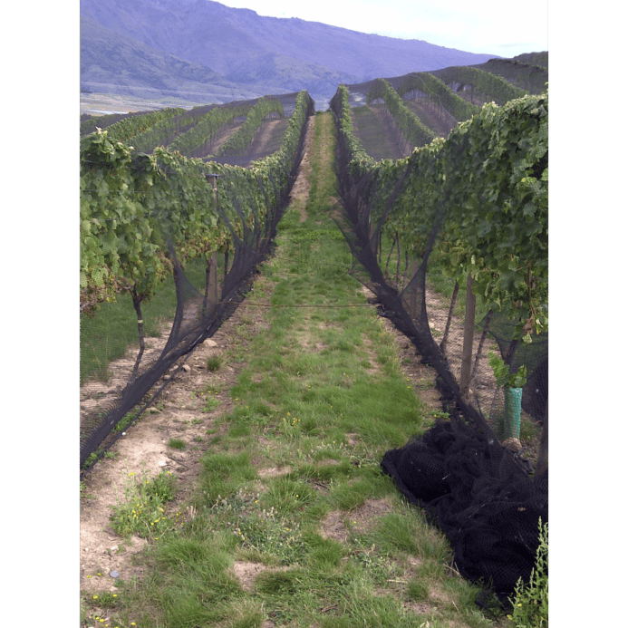 Vineyard - Multi-Row & Drape Netting - American Nettings