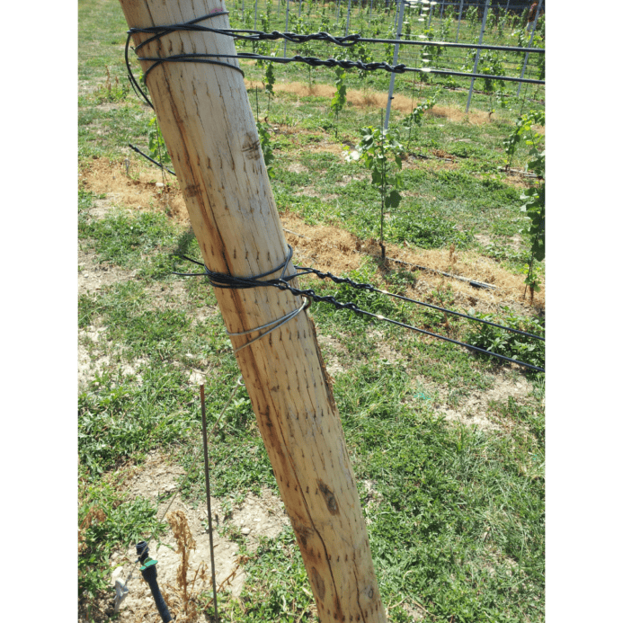 Poly Line - American Nettings