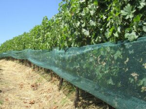 Vineyard - Multi-Row & Drape Netting - American Nettings