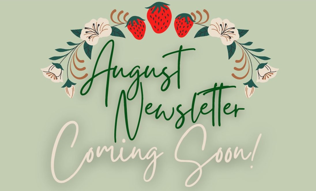 newsletter - coming soon - American Nettings: 1-800-811-7444