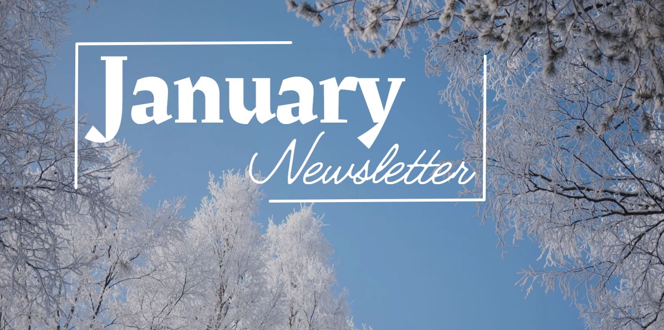 Newsletter Banner - American Nettings: 1-800-811-7444