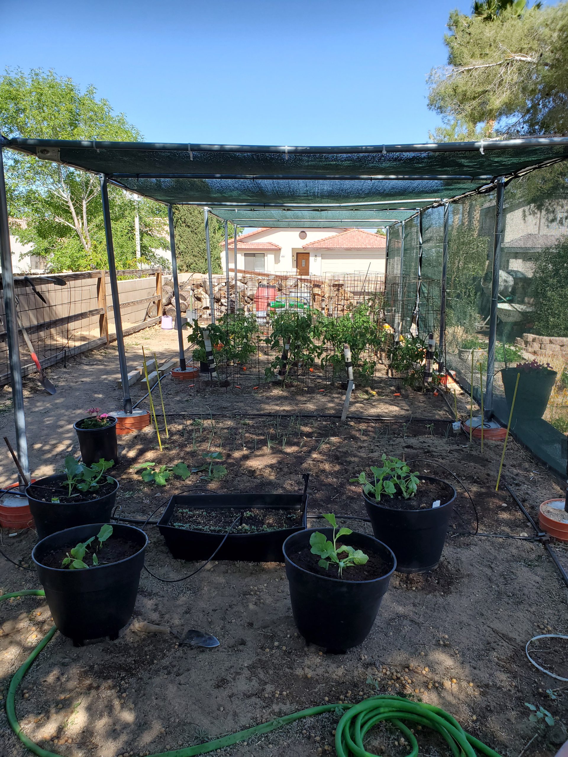 Deco Shade - American Nettings